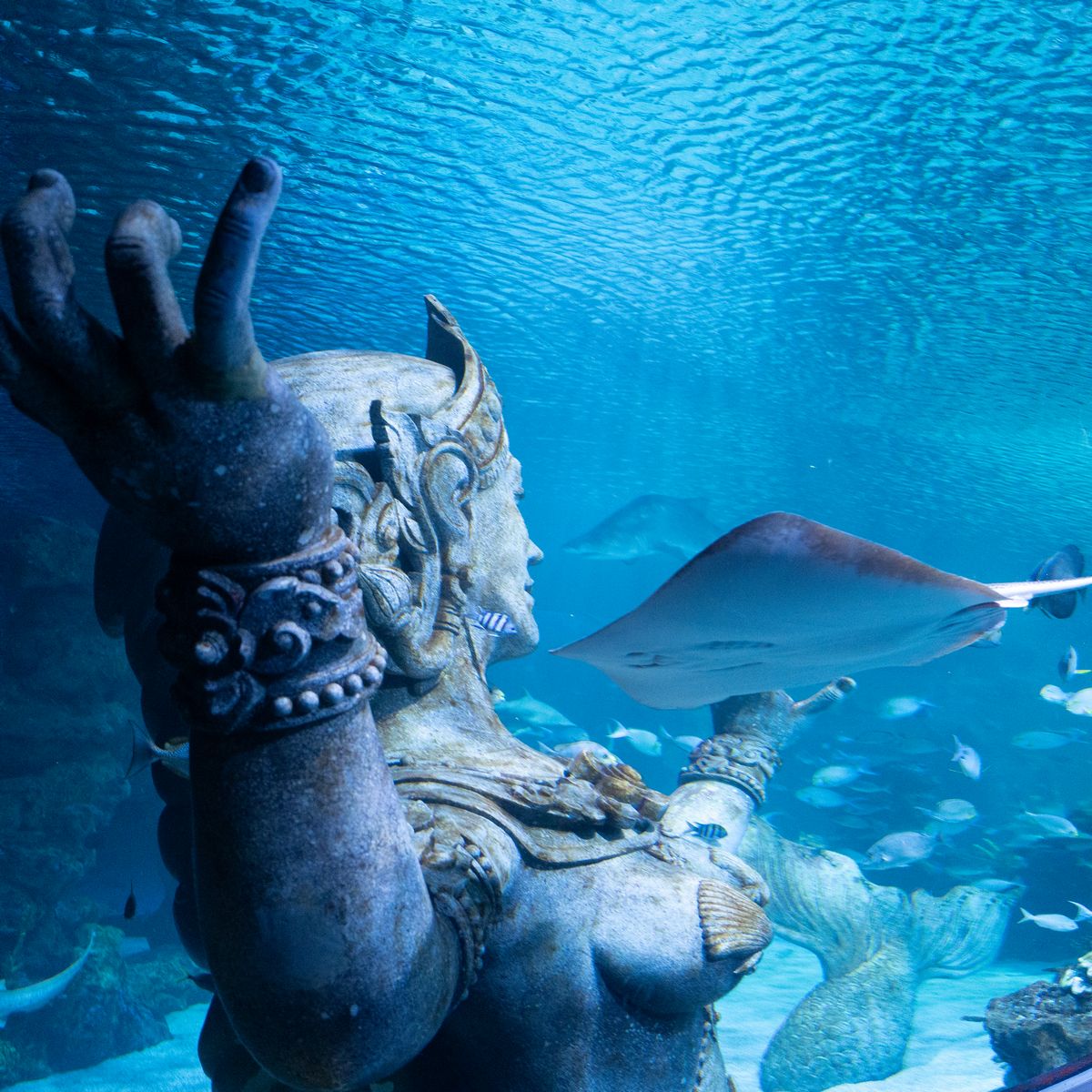 How to get in touch with Su Va Na Phuket